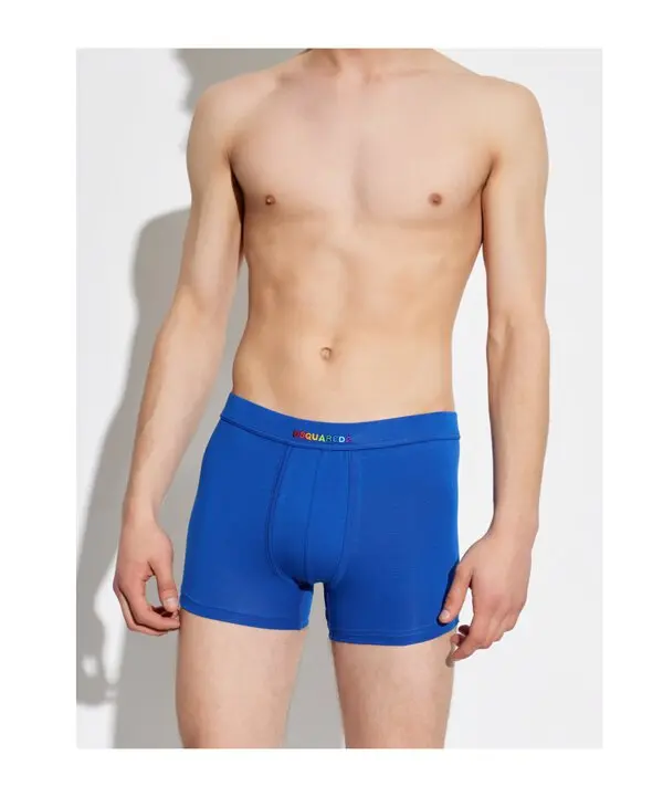 Dsquared2 Logo Briefs