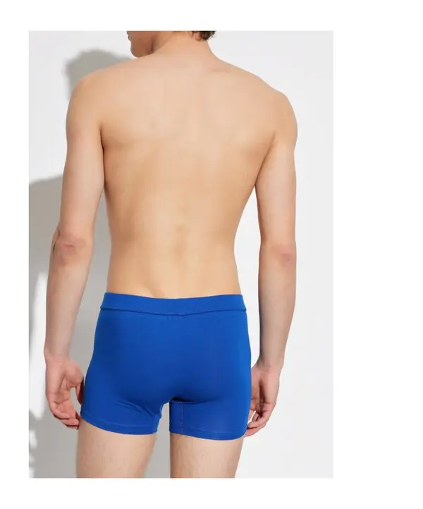 Dsquared2 Logo Briefs