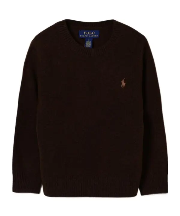 Polo Ralph Lauren Long-sleeved Pullover