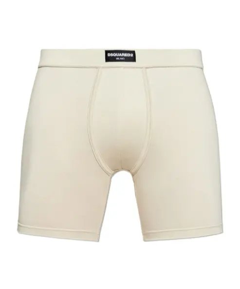 Dsquared2 Logo Briefs