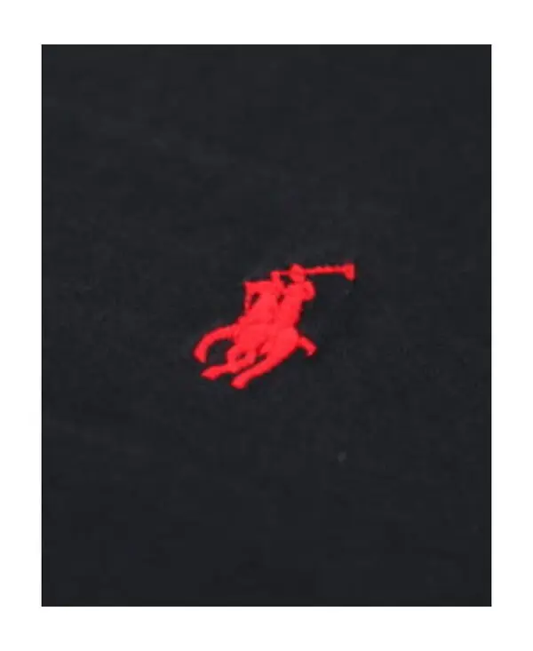 Polo Ralph Lauren Logo Embroidered T-shirt