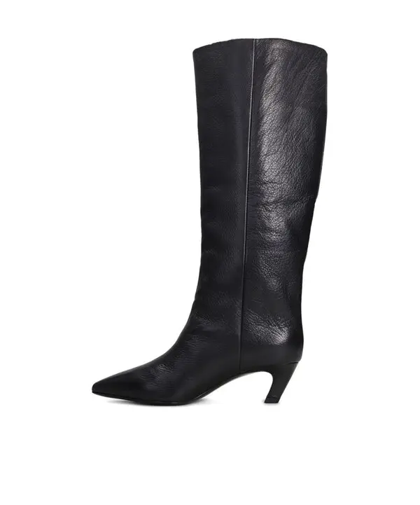 Ash Pointed-toe Boots