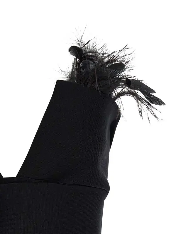 Alberta Ferretti Top With Feathers