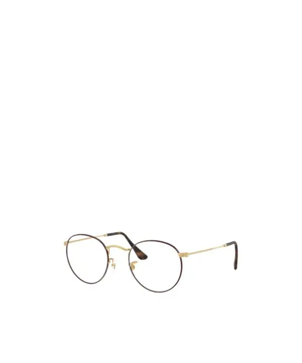 Ray-ban Round Frame Plain Mirror