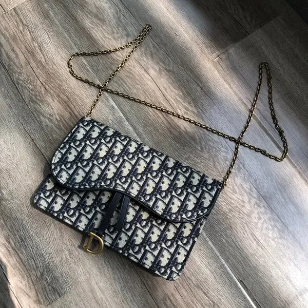 Dior Saddle Pouch