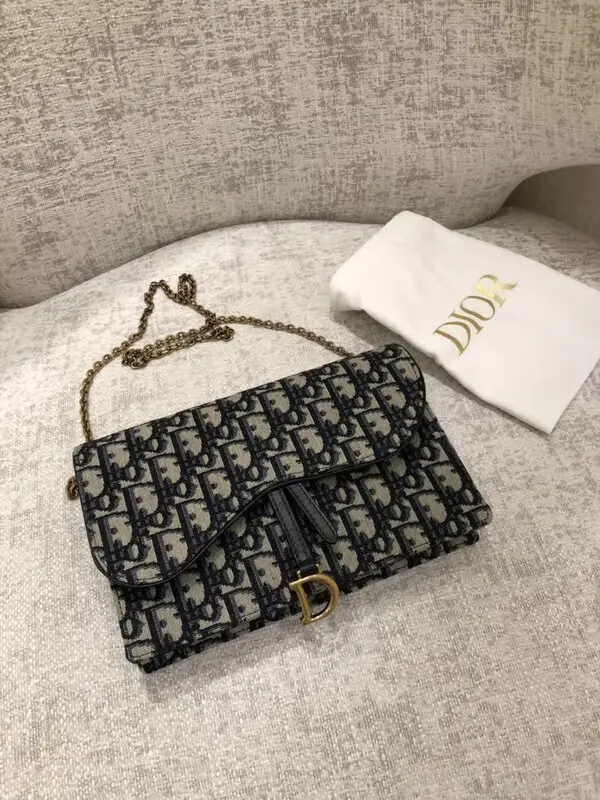 Dior Saddle Pouch