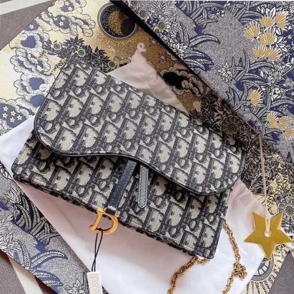 Dior Saddle Pouch