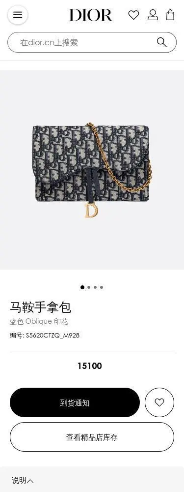 Dior Saddle Pouch