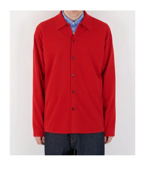 Auralee Long-sleeved Collared Sweater With Button Closure