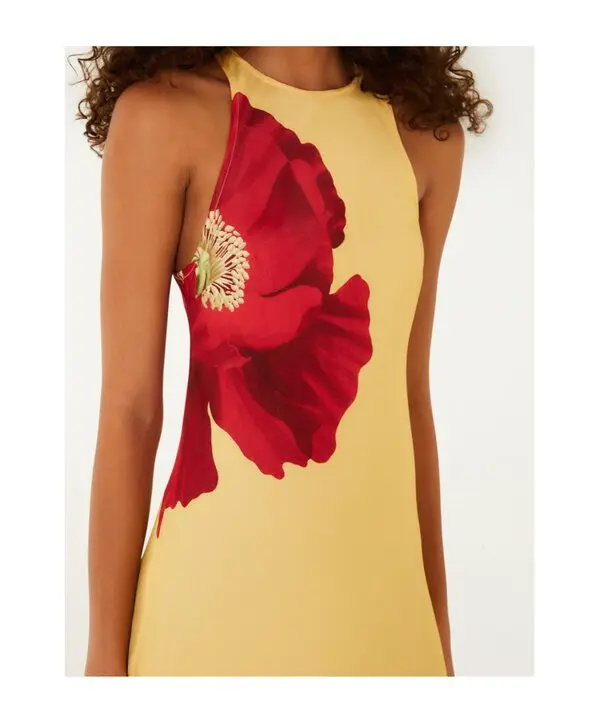 Farm Rio Sleeveless Dress