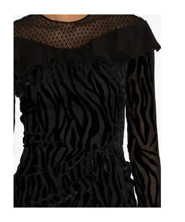 Isabel Marant Étoile Zebra Sheer Asymmetric Dress