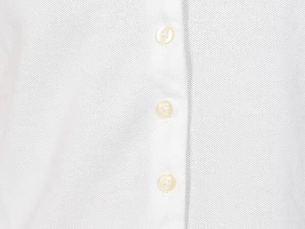 Polo Ralph Lauren Embroidered Logo Round Neck Shirt