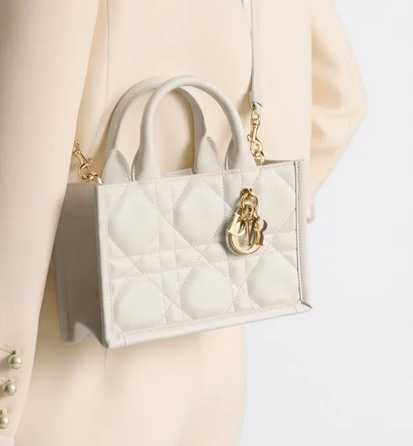 Dior Mini Book Tote