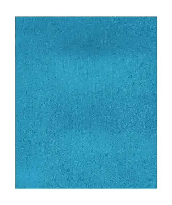 Alberta Ferretti Silk Scarf