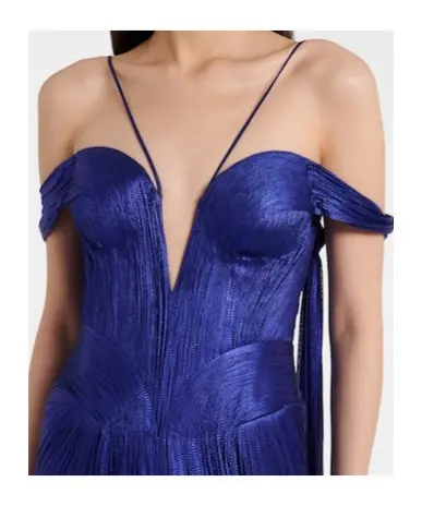 MARIA LUCIA HOHAN Camilla Metallic Silk Tulle Bustier Gown