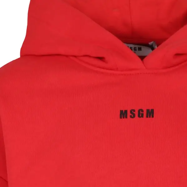 MSGM Logo-embroidered Hoodie