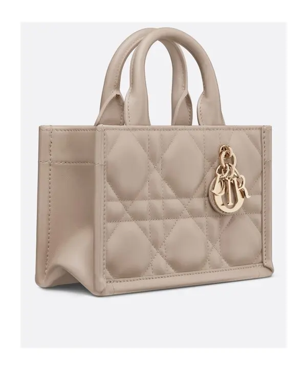 Dior Mini Book Tote