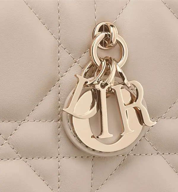 Dior Mini Book Tote