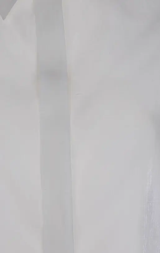 Peserico Sheer Concealed-front Shirt