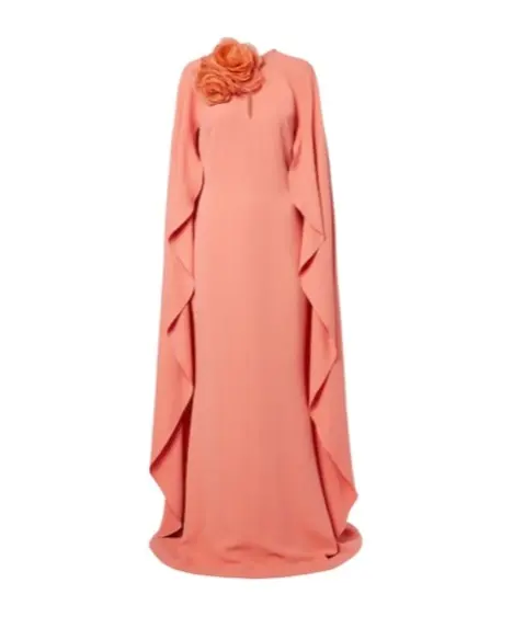 Elie Saab Caped Gown