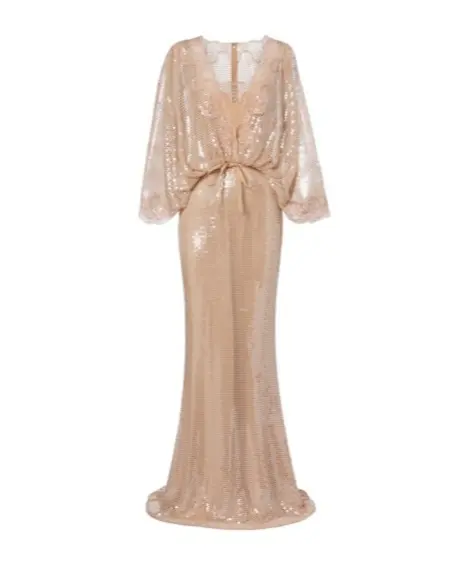 Elie Saab Lace-trimmed Sequined Mesh Gown