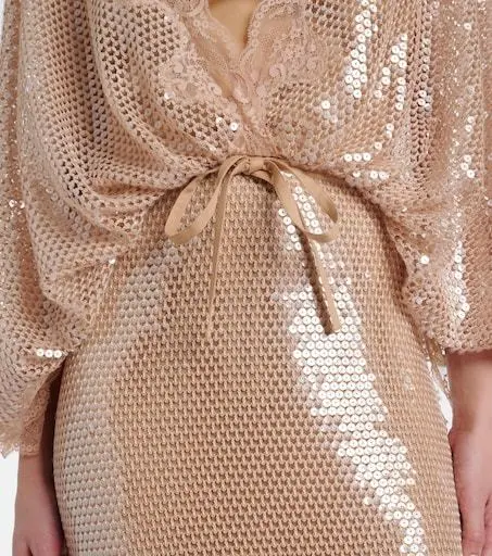 Elie Saab Lace-trimmed Sequined Mesh Gown