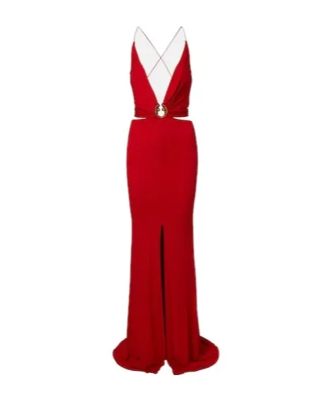 Roberto Cavalli Open-back Gown