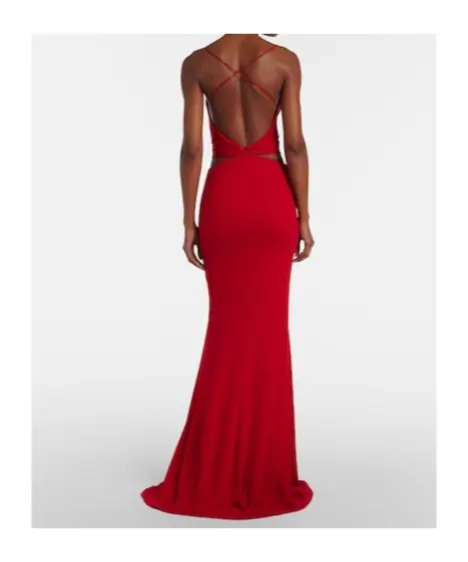 Roberto Cavalli Open-back Gown
