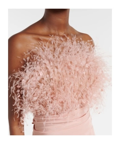 Oscar De La Renta Feather-trimmed Silk Faille Bustier Gown