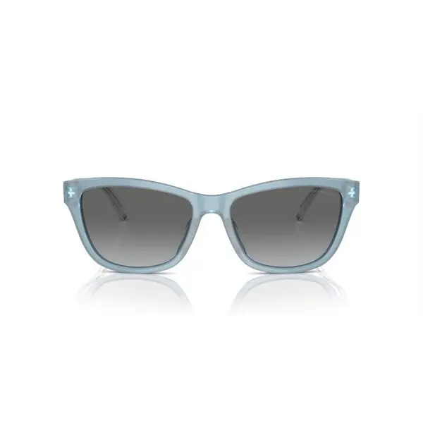 Emporio Armani Cat Eye Sunglasses