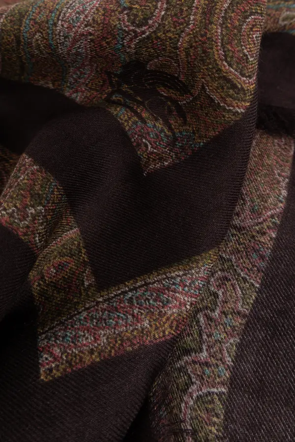 Etro Scarf With Print