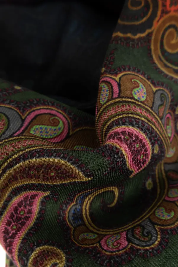 Etro Scarf With Print
