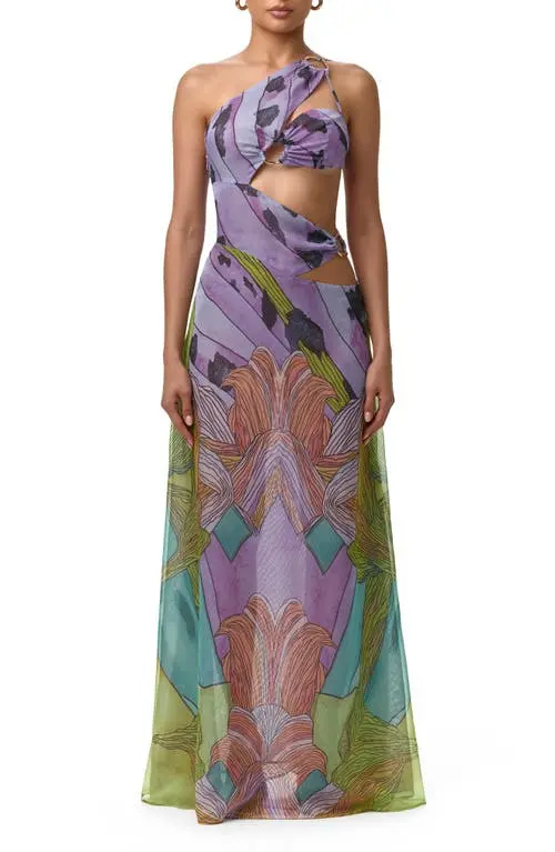 Naked Wardrobe Print Sheer Chiffon Cutout Maxi Dress