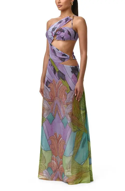 Naked Wardrobe Print Sheer Chiffon Cutout Maxi Dress