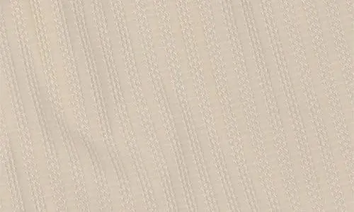 PLEASURES Textured Stripe Active Shorts - Beige