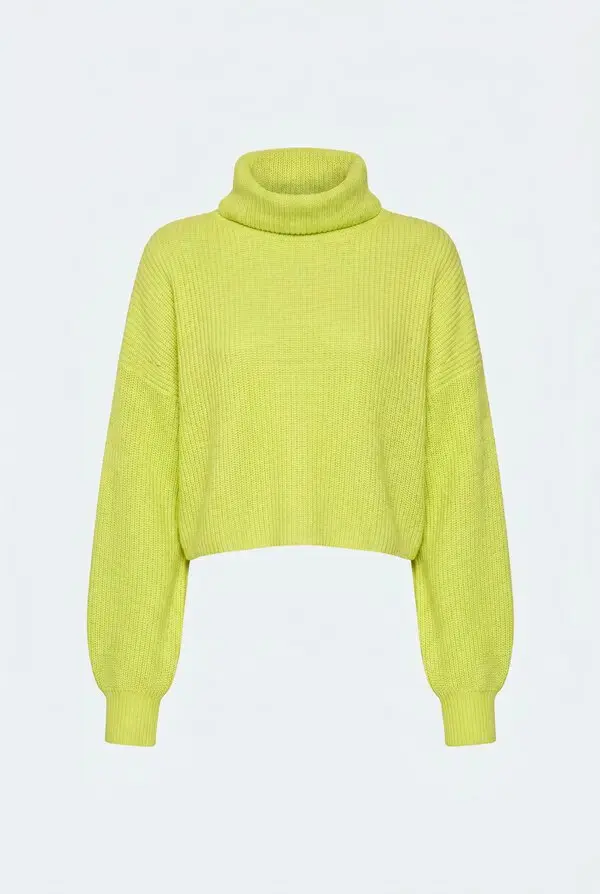 Lapointe Cashmere Turtleneck Sweater