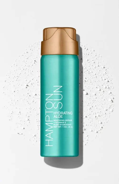 HAMPTON SUN Travel Trio Kit