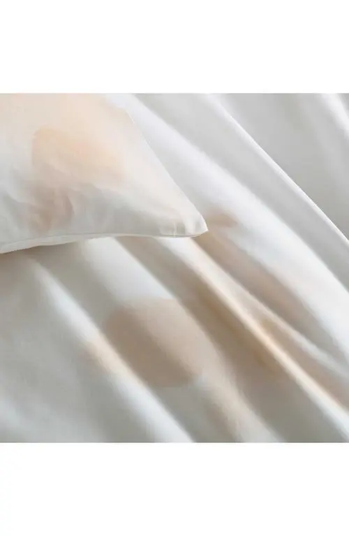 Calvin Klein Liquid Floral 300 Thread Count Cotton Comforter & Shams Set