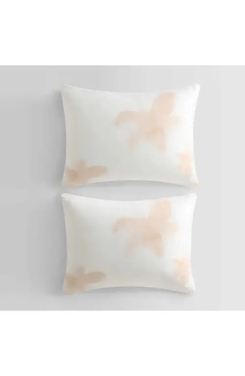 Calvin Klein Liquid Floral 300 Thread Count Cotton Comforter & Shams Set
