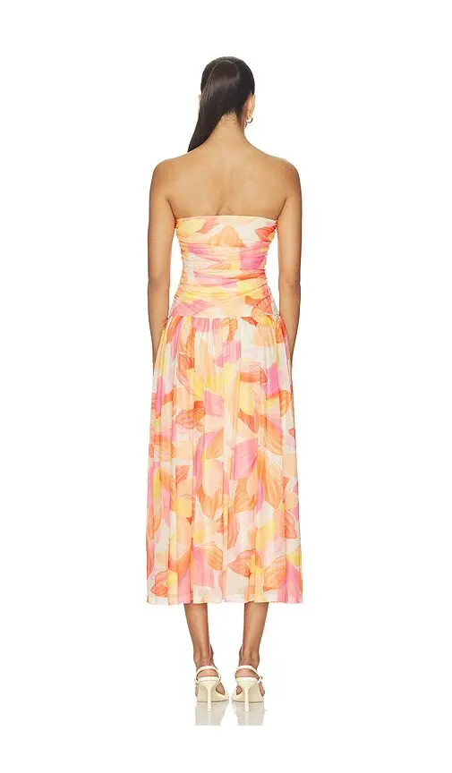 Minkpink Solana Mesh Midi Dress In Multi