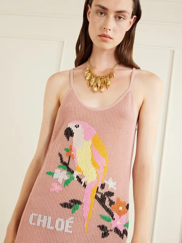 Chloé Embroidered Crocheted Cotton Mini Dress - Pink