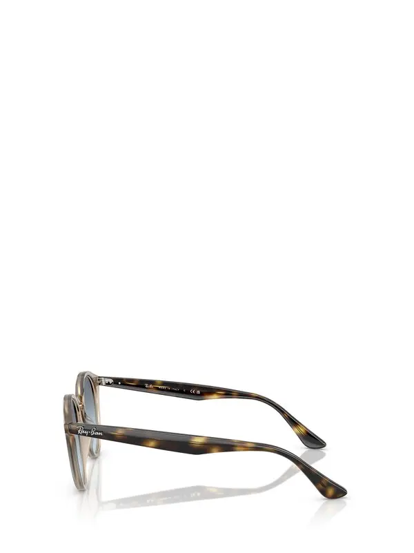 Ray-ban Round Frame Sunglasses
