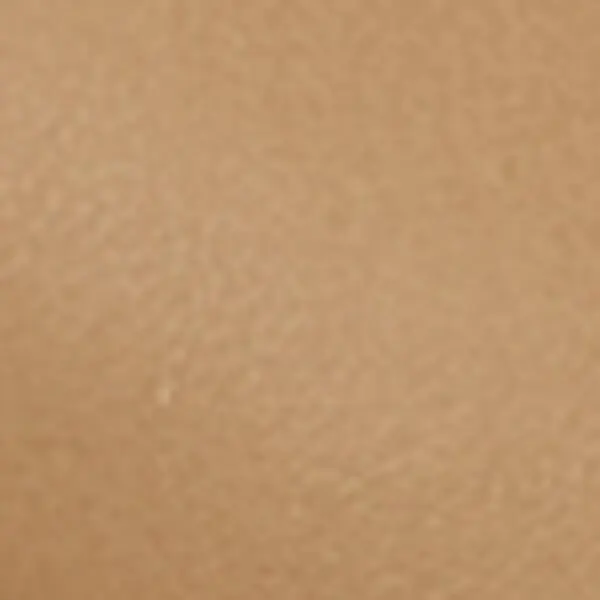 Saint Laurent Lambskin Loulou Camera Bag
