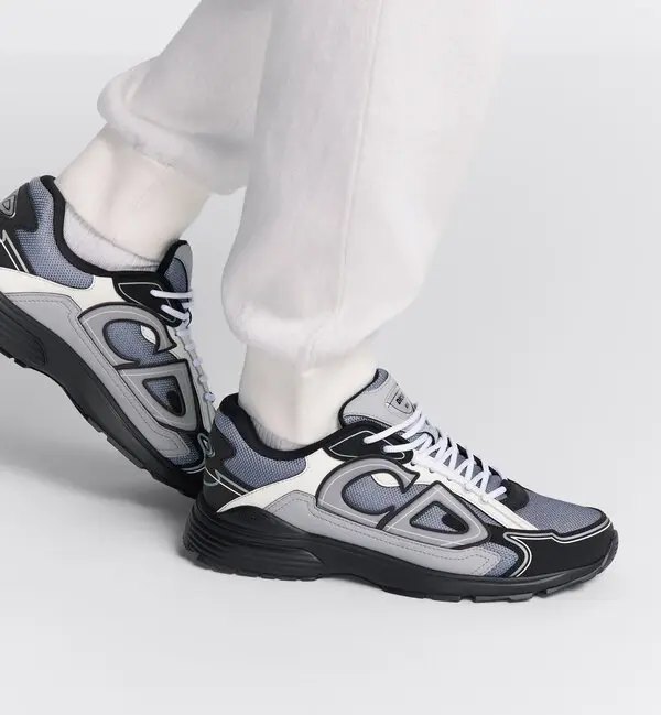 Dior B30 Lace-up Sneakers