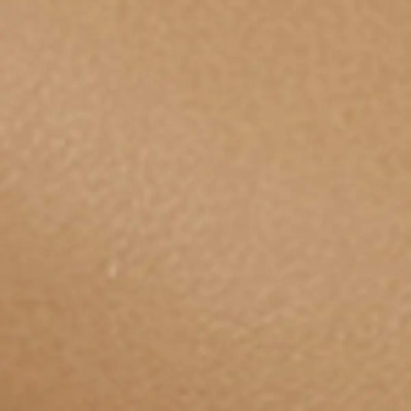 Saint Laurent Loulou Camera Bag