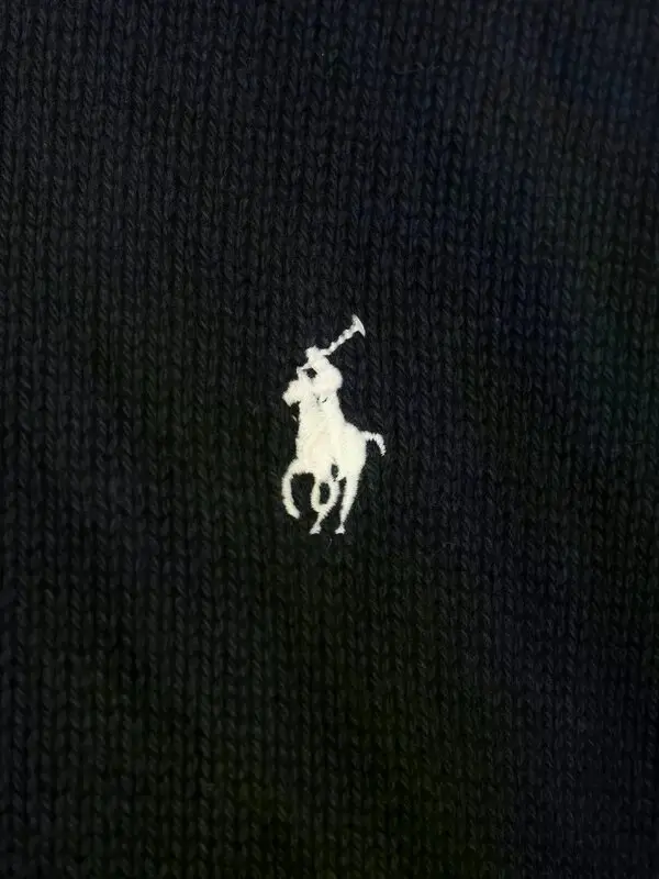 Polo Ralph Lauren Embroidered Polo Collar Sweater