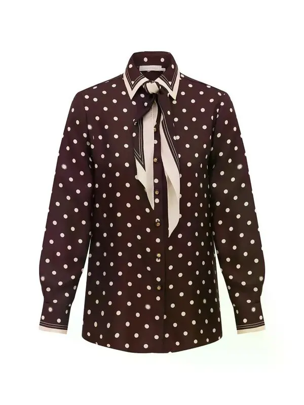 Zimmermann Polka-dot Silk Blouse - Brown
