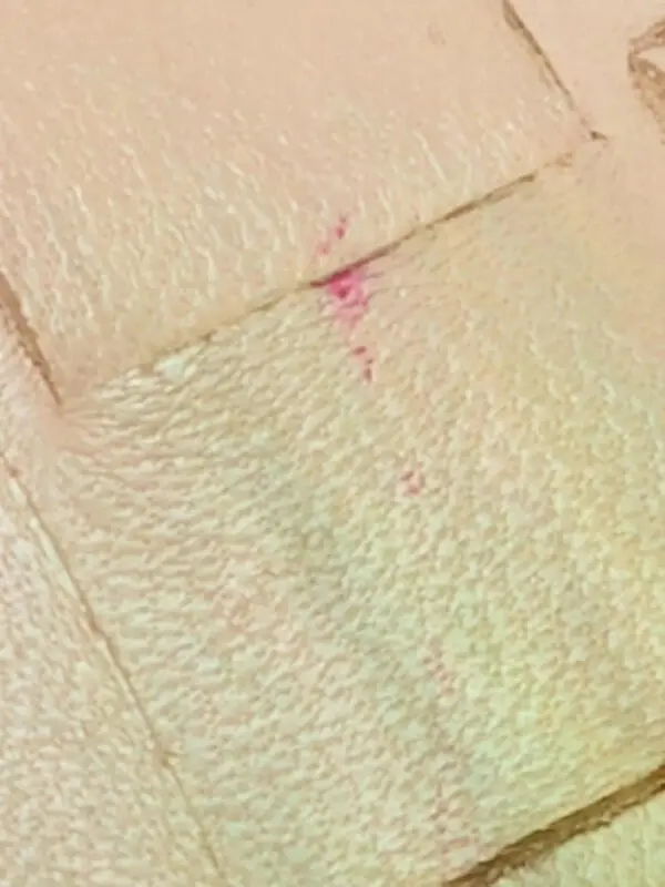 Bottega Veneta Andiamo Intrecciato Wallet