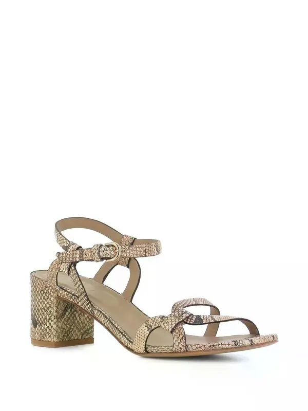 DEL CARLO Betty Snake-effect Buckled Sandals