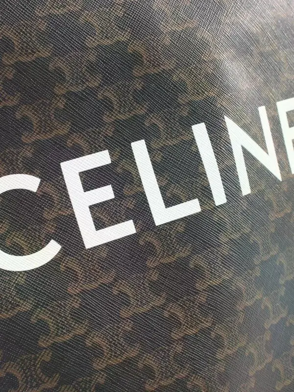 Celine Triomphe Canvas Logo Print Tote Bag
